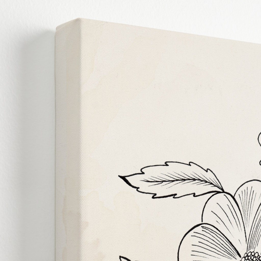 Vintage Flower Sketch - Beige and Black Print | Shutterfly