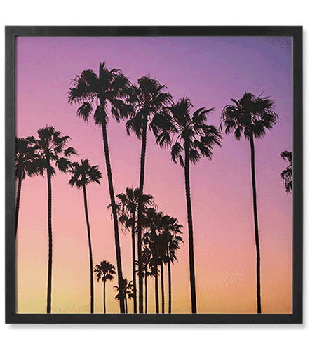Purple Palms Photo Tile by Shutterfly | Shutterfly