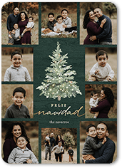 Big Family Tree 5x7 Stationery Card by Jill Smith | Shutterfly
