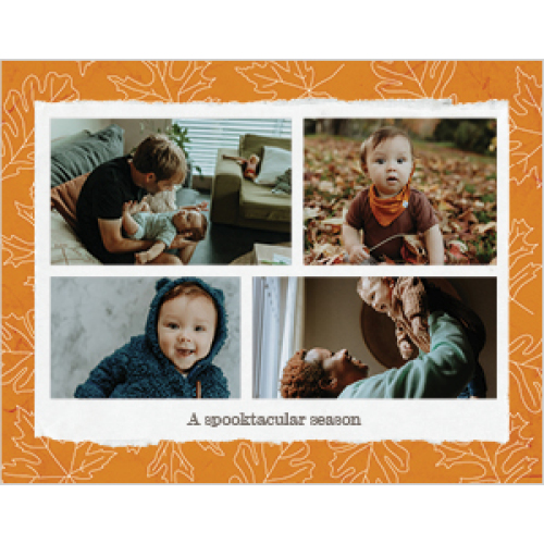 Seasonal Patterns Calendar Wall Calendar | Shutterfly