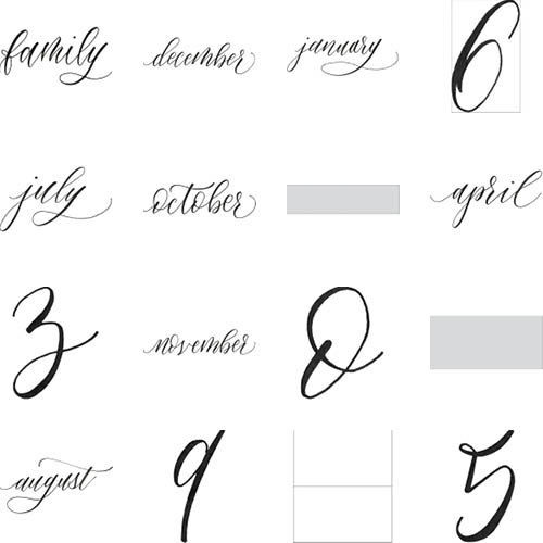 Elegant Script Wall Calendar | Shutterfly