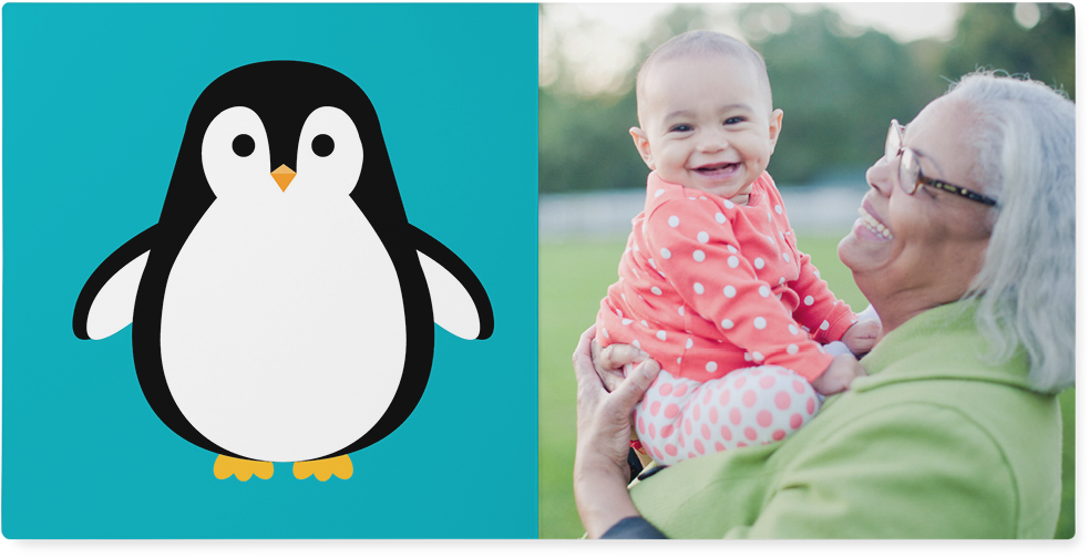 Animals Children's Board Book | Shutterfly